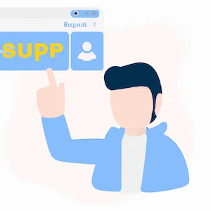 SAP End User Resume - Profile, Skills, Summary & Tips